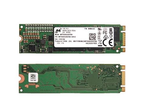 SSD Micron 256GB M.2 2280 - Solid State Drive Sur Dbi.ma