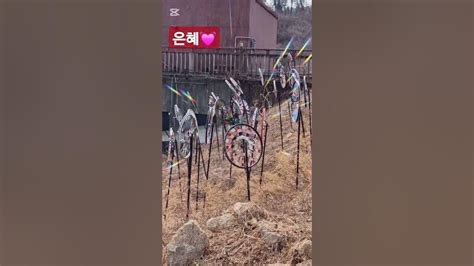 은혜🙏감사🙏 Youtube