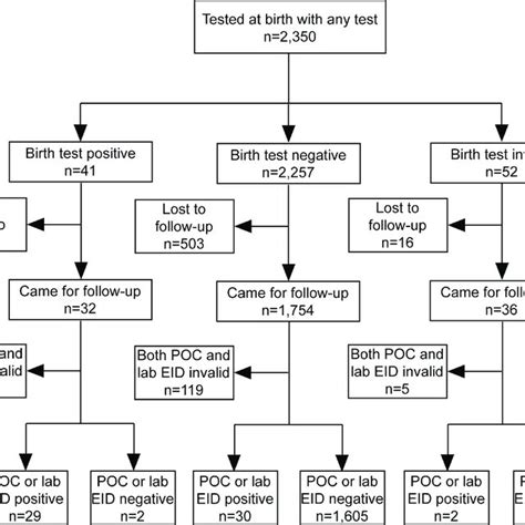 Flow Diagram Of Participants At Birth And At Routine Eid Testing Time
