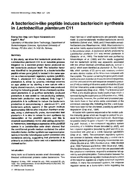 Pdf A Bacteriocin‐like Peptide Induces Bacteriocin Synthesis In Pdf A Bacteriocin‐like Peptide Induces Bacteriocin Synthesis In