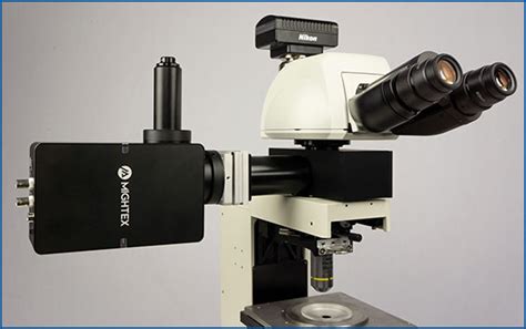 Selecting An Optogenetic Light Source Led Vs Laser Mightex