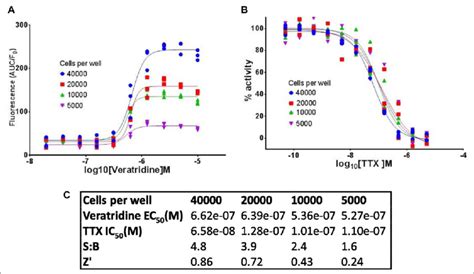 Ipsc Sensory Neuron Seeding Density Optimization In A 384 Well Format Download Scientific