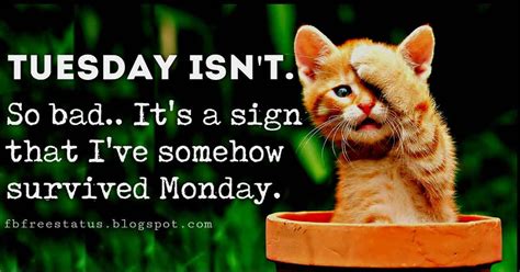 Funny And Happy Tuesday Quotes