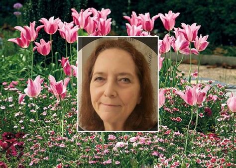 Sumner County Source On Linkedin Obituary Cheryl Anne Martin