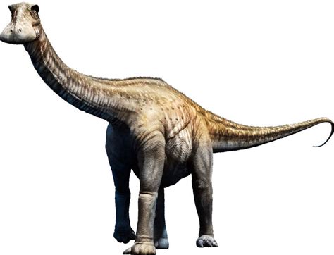 Nigersaurus Life Habitat Diet Discovery And Facts