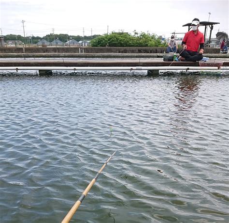 釣り経験者がハマる『コイ釣り堀』 釣れない時の対処法3選【赤塚釣堀】 Tsurinews