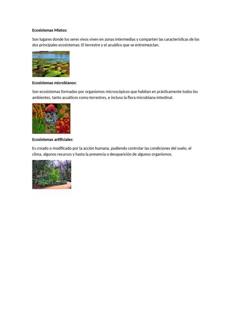 Ecosistemas Mixtos Pdf