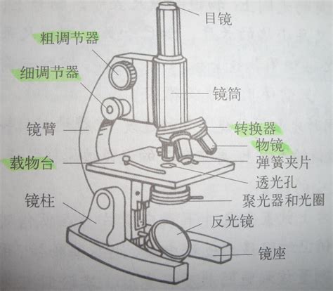 显微镜图片简笔画 动态图库网