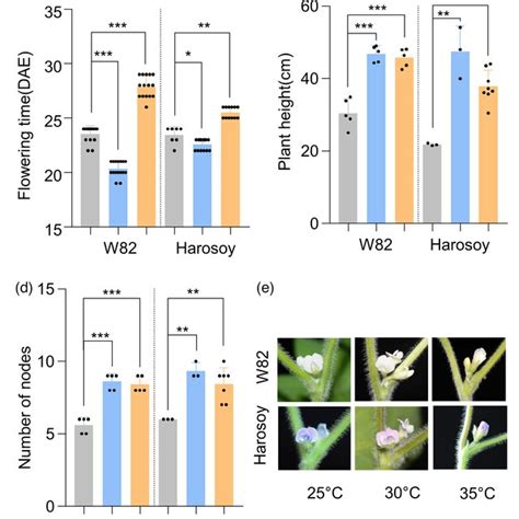 The Effects Of Increasing Temperature On Soybean Flowering A