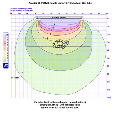 Arcadia 6 Uvb T5 Ho Reptile Uvb Bulbs Pangea Reptile Pangea