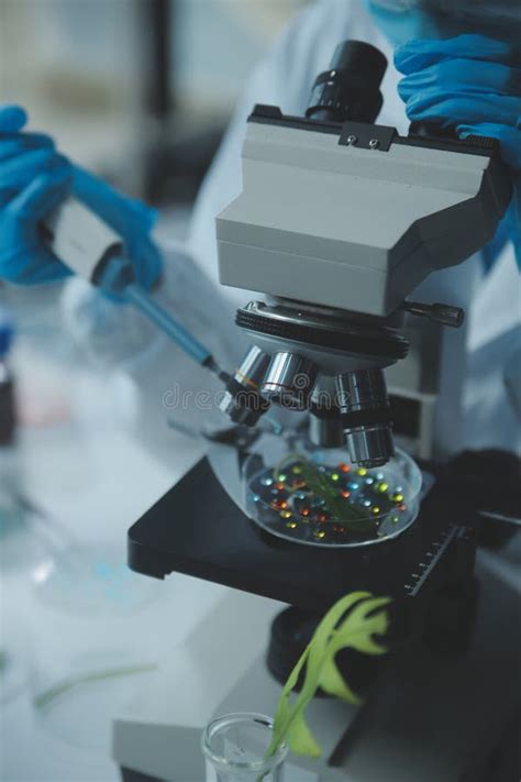 Scientist Cutting Plant Tissue Culture In Petri Dish Performing