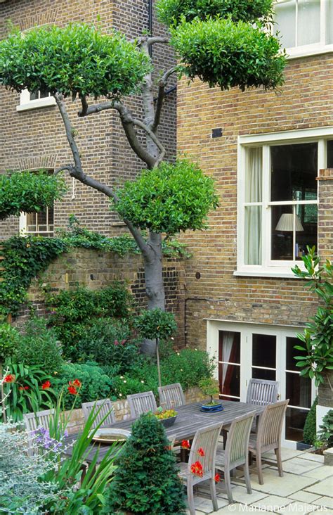 When To Prune Bay Tree North World News