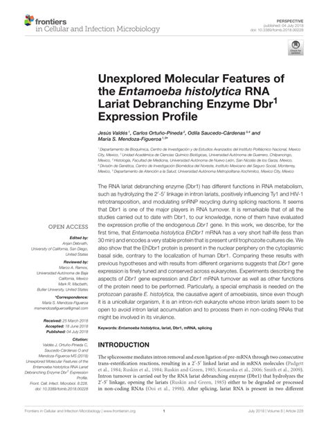 Pdf Unexplored Molecular Features Of The Entamoeba Histolytica Rna Lariat Debranching Enzyme