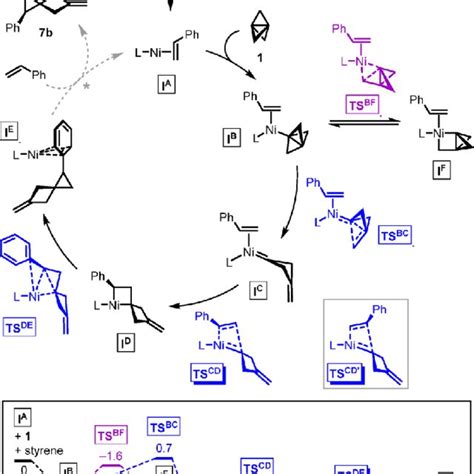 Dft Calculated Catalytic Cycle And Associated Free Energy Level Download Scientific Diagram