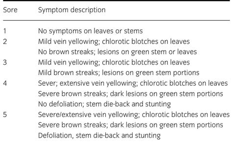 Severity Rating Scale For Cassava Brown Streak Disease In