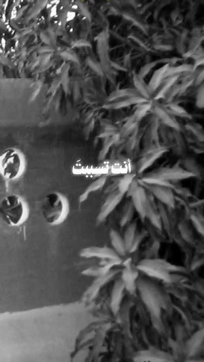 تبت إلى الله☝️ Youtube