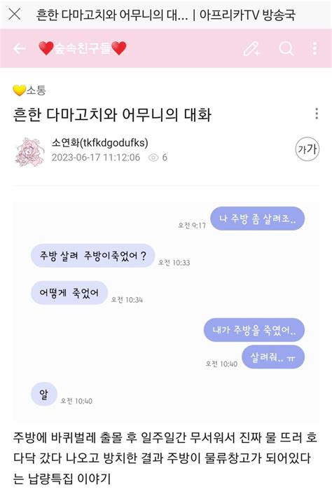 소연화 공지 숲soop 에펨코리아