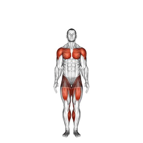 Muscles Being Used In Jumping Jacks At Elmer Holt Blog