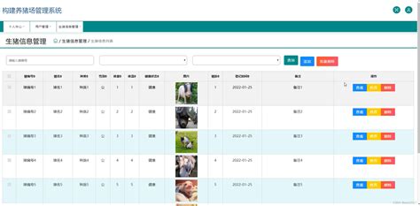 附源码 Javassm计算机毕业设计构建养猪场管理系统3t2t8源码程序数据库部署ass1017的博客 Csdn博客