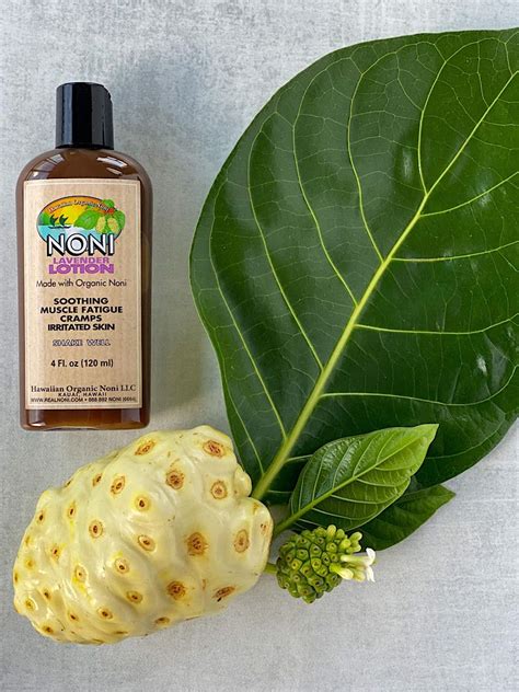 Top 10 Skin Benefits Of Soothing Noni Lotion Noni Juice Benefits For
