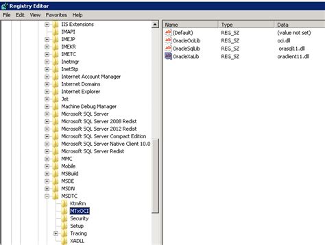 BI Summit Installing Oracle G Client On Windows R Bit To Use In SSIS