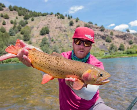 Devan Ence Henrys Fork Foundation