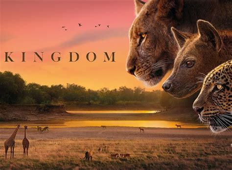 Kingdom 2025 Tv Show Air Dates And Track Episodes Next Episode