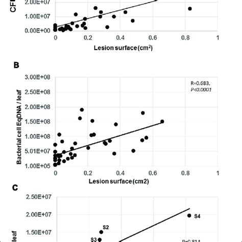 Correlation Between Lesion Surface And Bacterial Population Estimated