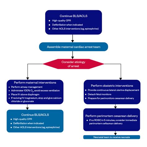 Aha Acls Algorithms And Flowcharts 2020 2025 Emergency Cardiovascular