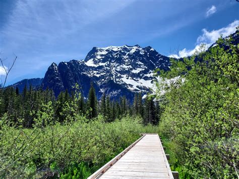 Mount Baker Snoqualmie National Forest Big Four Ice Caves Trail 723