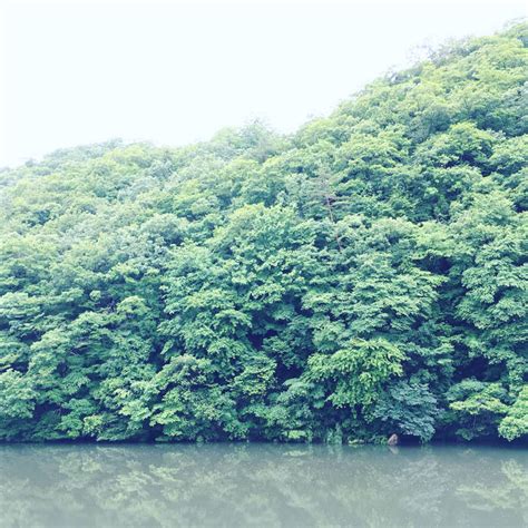 Aronsons Collection Bandcamp