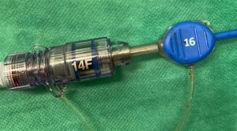 Expandable Tavr Sheaths Which Sheath Fits Which Prosthesis