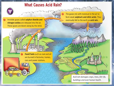 Acid Rain Formation Flow Chart