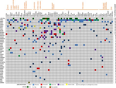 Gene Mutation Landscape Of Human Aml Cell Lines 76 Human Aml Cell Lines