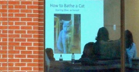 Important Meeting Album On Imgur