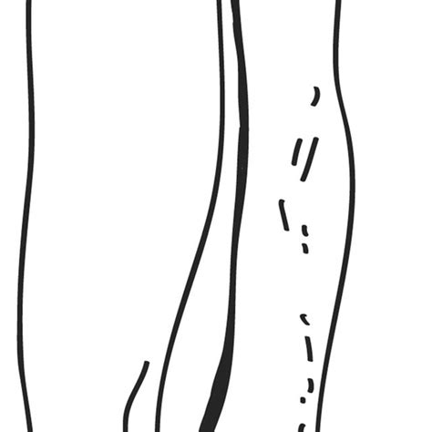 Carcass Sampling Areas Each Letter Indicates A Region Of 100 Cm 2 Download Scientific Diagram