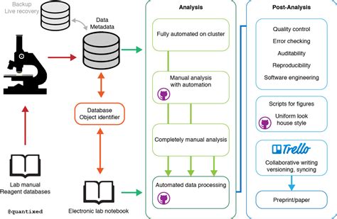 The Digital Cell Workflow Quantixed