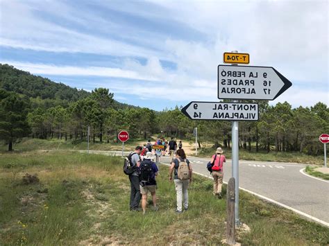 Limpieza Por Fallecimiento En La Febró Eliminación De Sangre ☣ Fluidos Corporales