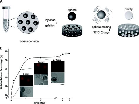 Microcavitary Hydrogel Mediating Phase Transfer Cell Culture For
