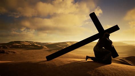 Bezawit Admasu Posted On Linkedin