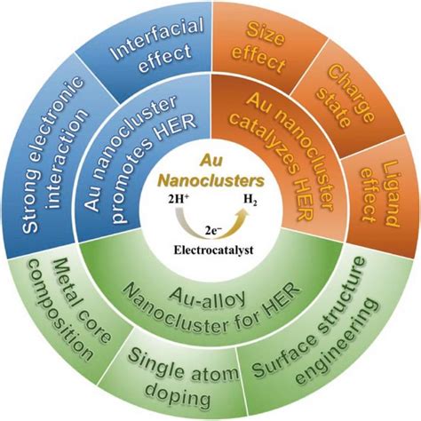 A Diagram Showing The Differen [image] Eurekalert Science News Releases