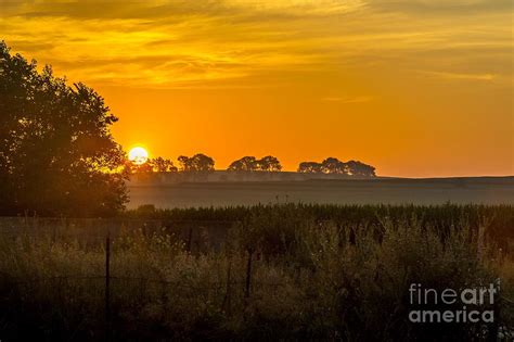 Sunrise On The Farm Photograph By Lisa Knauff Fine Art America