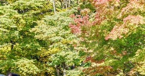 포토 성큼 다가온 가을