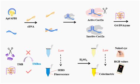 更低成本原料创新应用 Crispr检测新方法 知乎