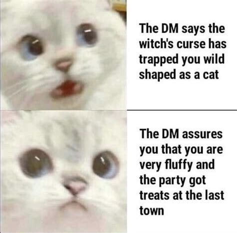 Pin By Grant Patterson On Dnd Funny Dnd Funny Dnd Stories Dungeons