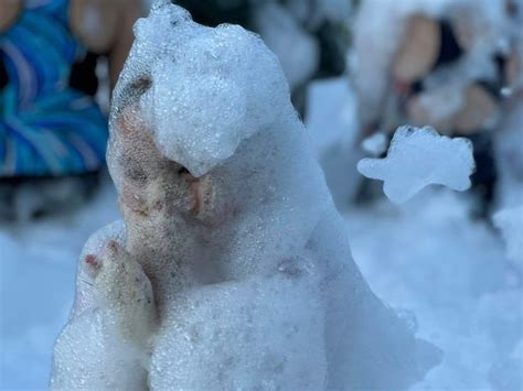 Fairborn Friends And Neighbors Facebook