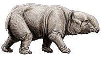 Daouitherium Wikipedia