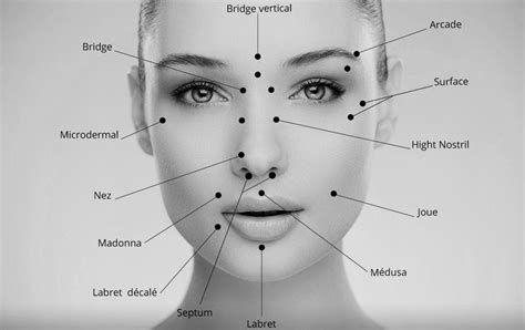 Nose Piercing Chart