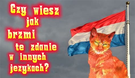 Czy Wiesz Jak Brzmi Te Zdanie W Innych Językach Samequizy