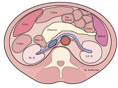 Gastrointestinal Learning Modules Ct Scanning